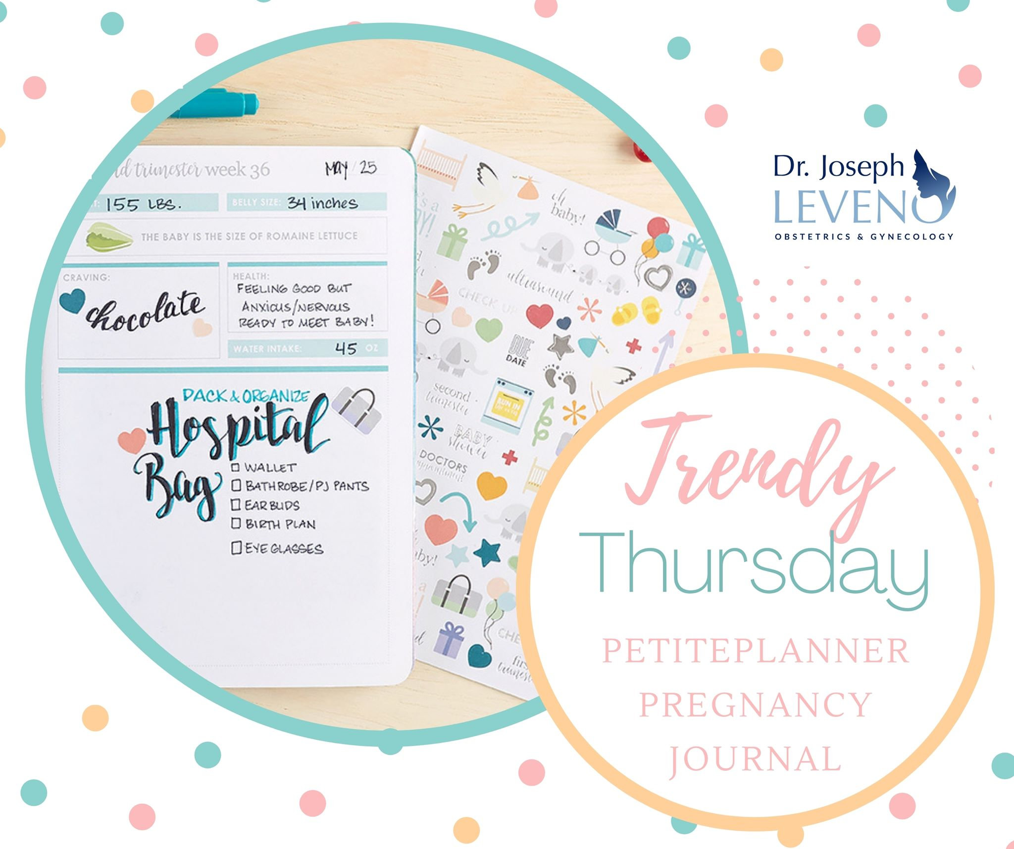 Petite Planner Pregnancy Journal - Dr. Joseph Leveno