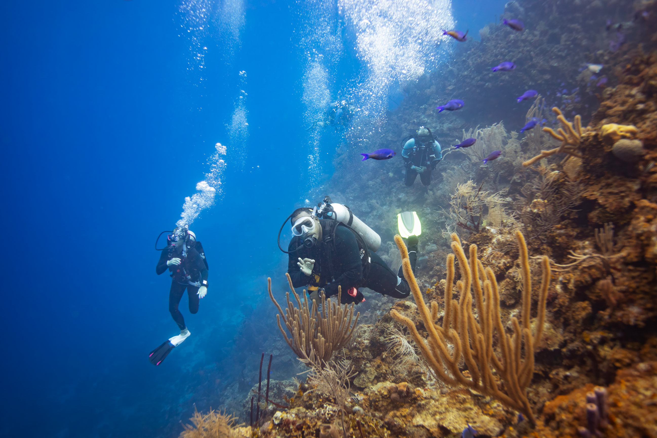 Dive Shop - Seagrape Plantation Resort